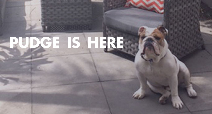 Pudge's Excellent Adventure!